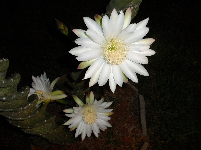 Blog Archives - herewfile